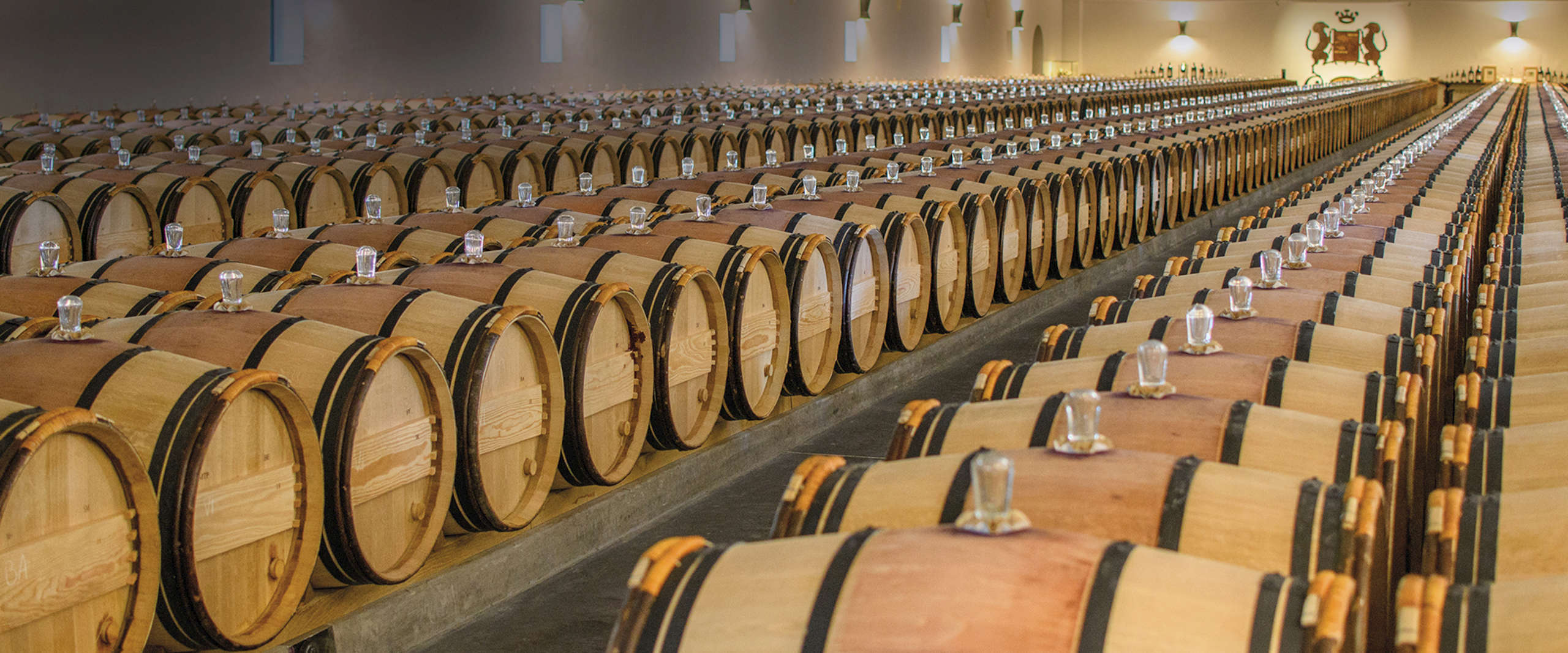 Guides de randonnées pédestres, vélo, cheval & Beaux livres Chamina ...